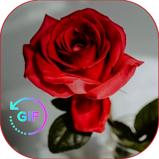 Flowers Animated 2022 For Pc Mac Windows 111087 Free Download