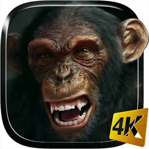 Talking Monkey Live Wallpaper | androidrank.org