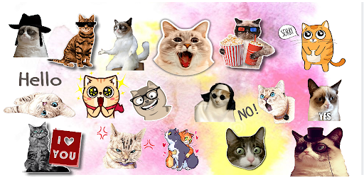 New Funny Cat Stickers For WhatsApp WAStickerApps Android App