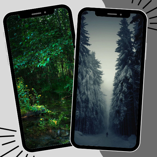 Bos muurpapier – Programme op Google Play