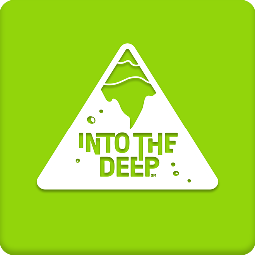 Приложения в Google Play – FTC Into The Deep Scorer Pro