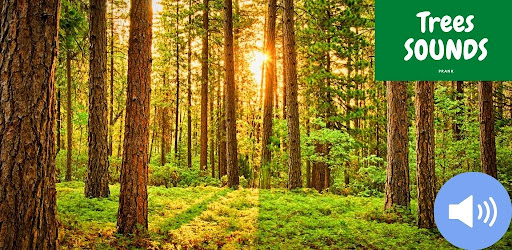 Trees Sounds and Wallpapers Android App
