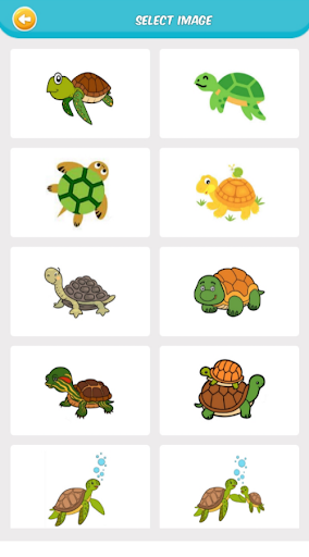 Download and Play Turtles Coloring on PC (Emulator)