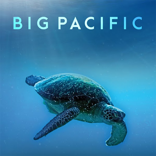 Big Pacific: Big Pacific - TV on Google Play