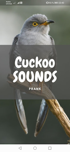 Cuckoo Sounds and Wallpapers for PC / Mac / Windows 11,10,8,7 - Free ...