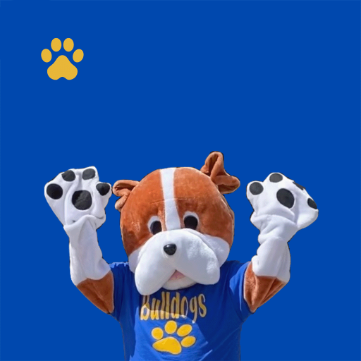 PS7 Queens for PC / Mac / Windows 11,10,8,7 - Free Download - Napkforpc.com