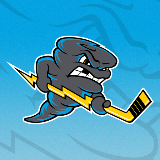 Quad City Storm - Apps on Google Play