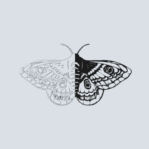 Metamorphosis Fitness - Apps on Google Play