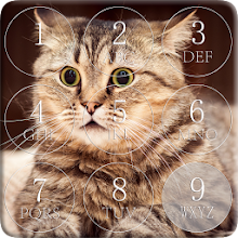 Cat Password Lock Screen para PC / Mac / Windows 11,10,8,7 - Descarga ...