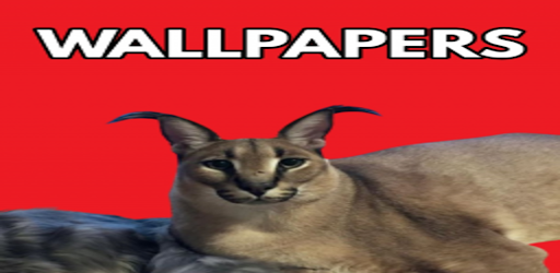 Wallpapers Floppa Android App