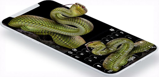 Tree Snake Keyboard Android App
