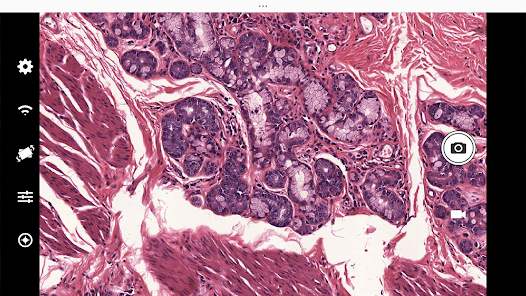 MotiConnect - Apps on Google Play