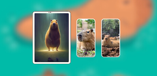 Capybara Cute Wallpaper Android App