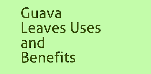 Guava Chat Android App