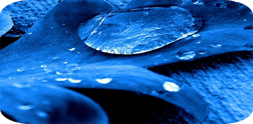 Macro HD Wallpaper Android App