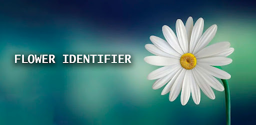 Flower Identifier Android App