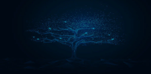 Binary Tree Visualizer Android App Binary Tree Visualizer Android App