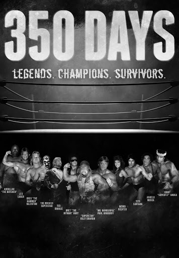 350 Days - Movies on Google Play