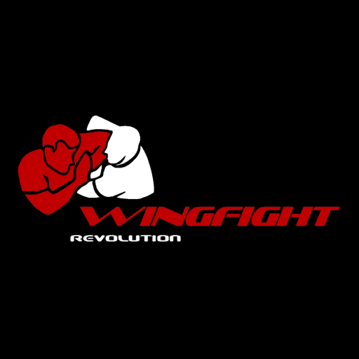 WingFight International - Aplicaciones en Google Play