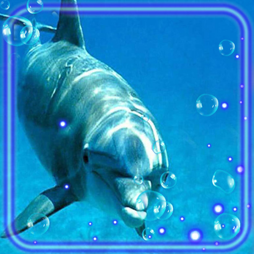 Dolphins Live Wallpaper for PC / Mac / Windows 11,10,8,7 - Free ...