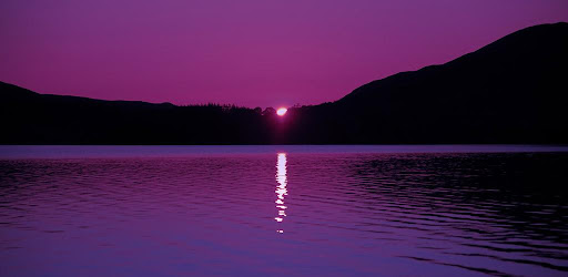 Purple wallpaper HD Android App
