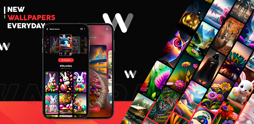 Live Wallpapers, 4K Wallpapers Android App
