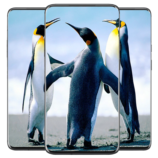 Penguins Wallpaper for PC / Mac / Windows 11,10,8,7 - Free Download ...