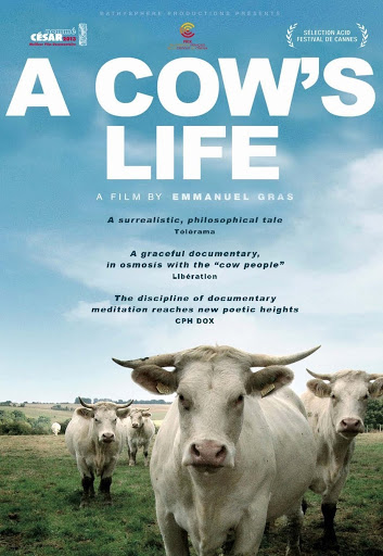 A Cow's Life - Movies on Google Play