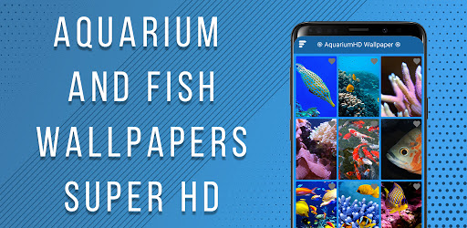 Aquarium Fish wallpapers Super HD Backgrounds Android App