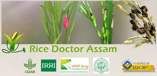 Rice Doctor Assam Android App