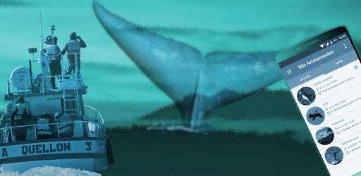 DondeLaViste? - Avistamientos de Fauna Marina Android App