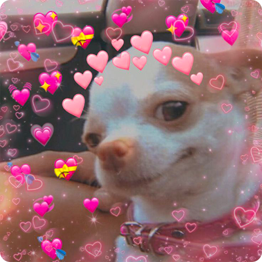 Dog Wallpapers & Cute Puppy - Apps on Google Play