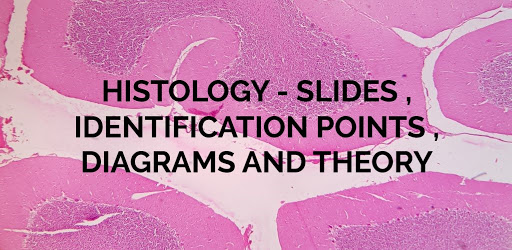 Histology: Slides,Identification Points and Theory Android App