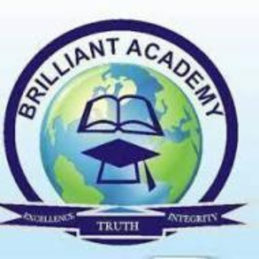 BRILLIANT ACADEMY - Google Play 앱