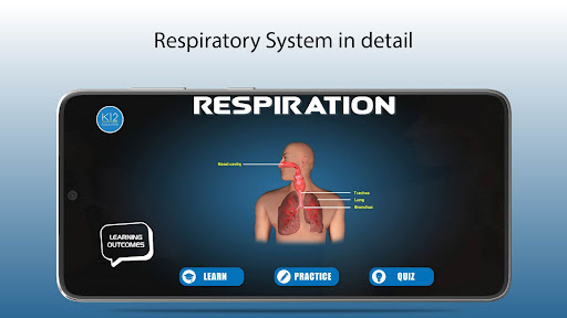Cellular Respiration Process for PC / Mac / Windows 11,10,8,7 - Free ...