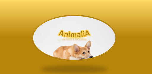 Animalia Android App
