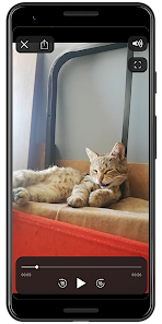 Ios video player store