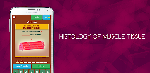 Anatomy Online Quiz: Histology Of Muscle Tissue