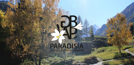 Paradisia Android App