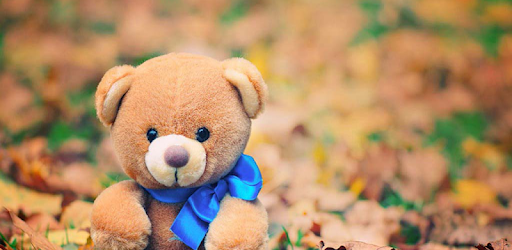 Teddy Bear Hd Wallpapers