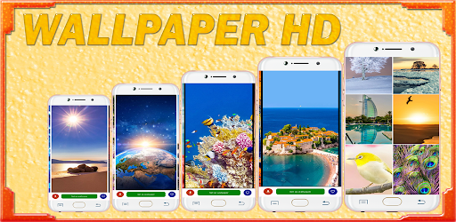 Wallpaper HD (Background) Android App