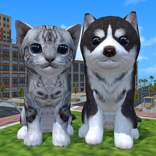 Puppy world store