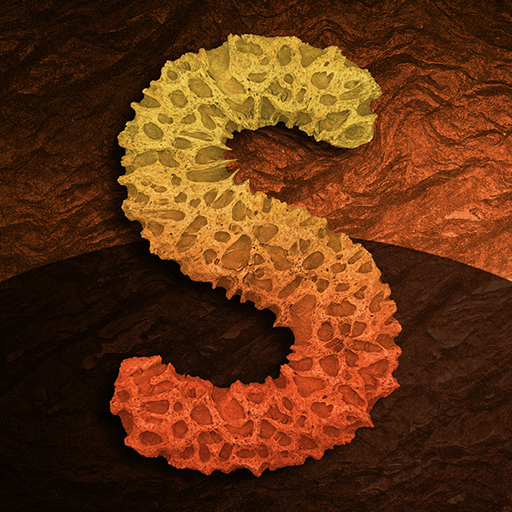 Saurus Kids - Apps en Google Play