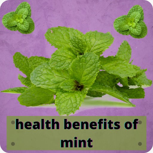 health benefits of mint for PC / Mac / Windows 11,10,8,7 - Free ...