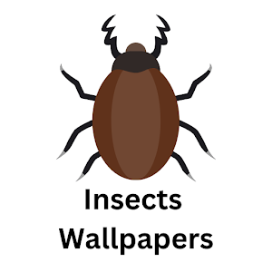 Insect Wallpapers - Nejnovější Verze Pro Android