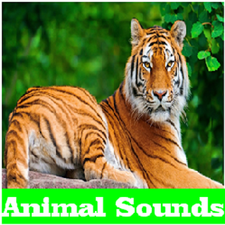 Animal Sounds 1.2 APK | AndroidAppsAPK.co