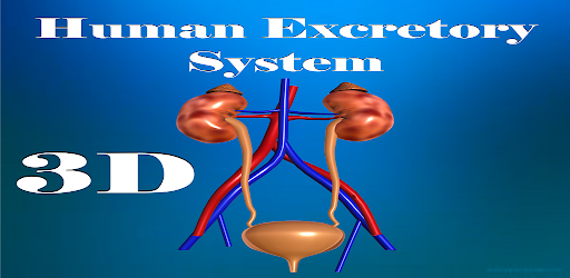 Human Excretory System Android App