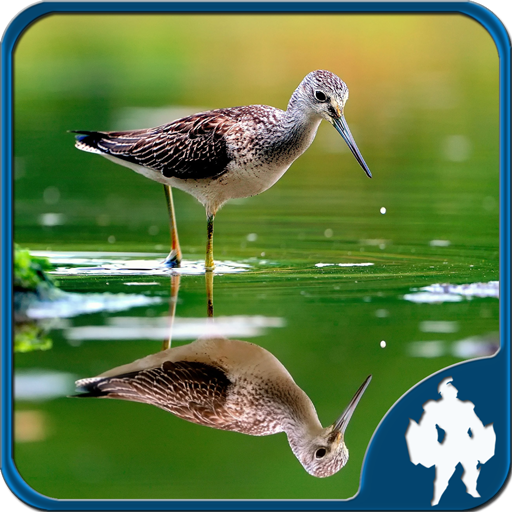 Reflection Jigsaw Puzzles – Apps on Google Play