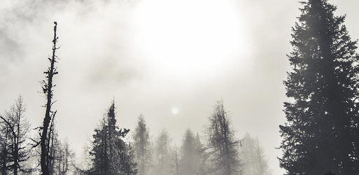 Random Wallpaper & Lockscreen Android App