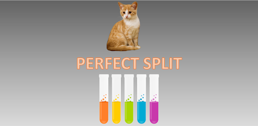 Perfect Split Android App